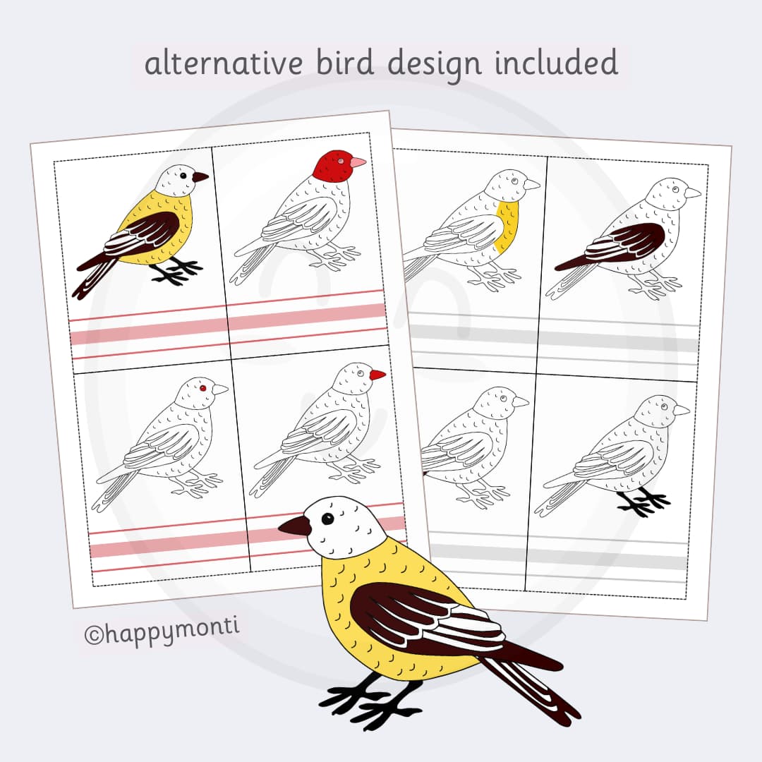 Bird Anatomy Booklets | Happy Monti