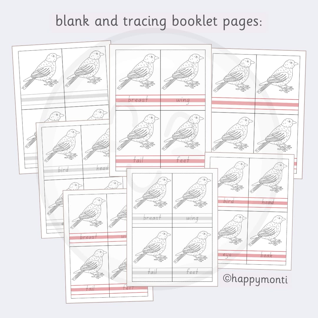 Bird Anatomy Booklets | Happy Monti