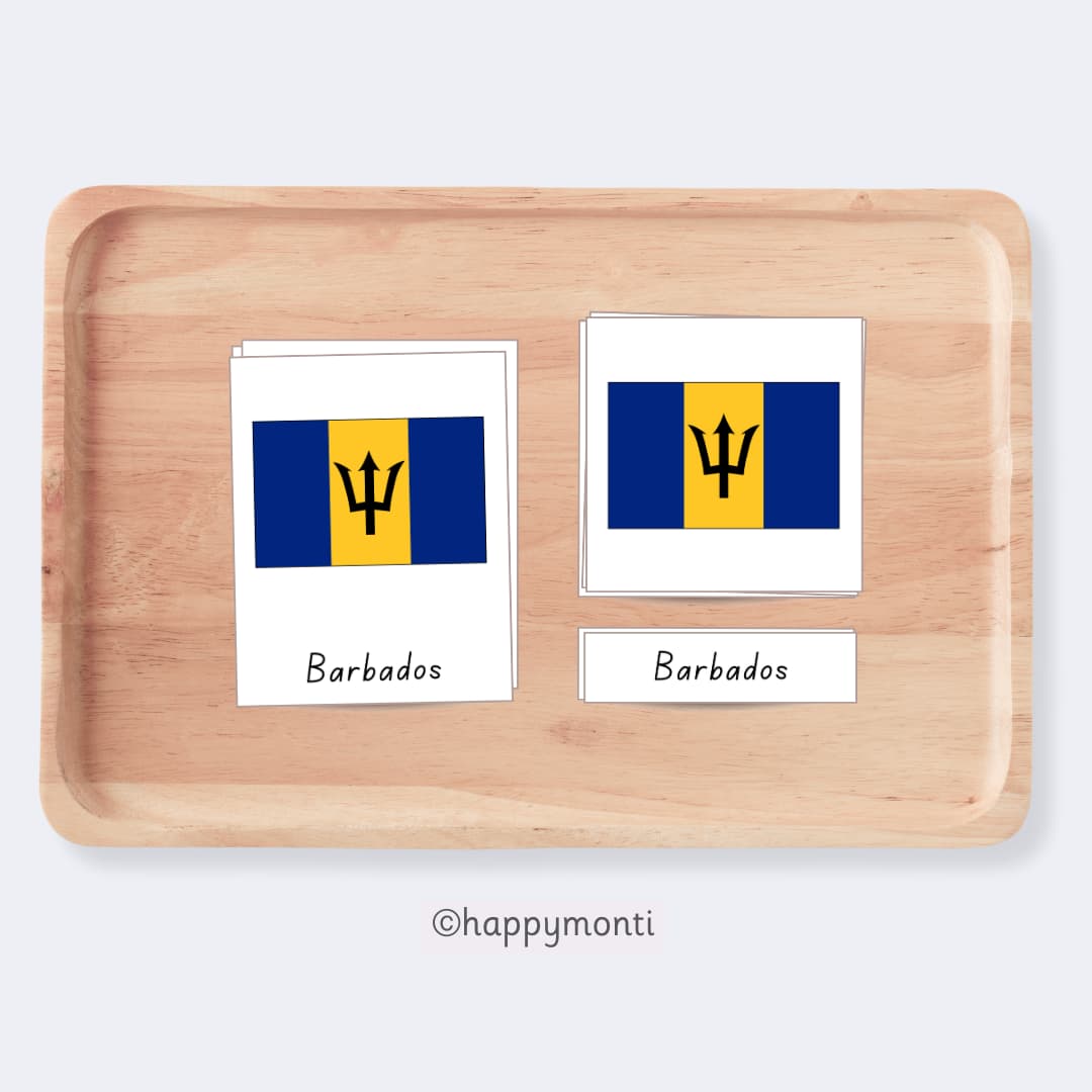 Country Flags of North America (3-Part Cards) | Happy Monti